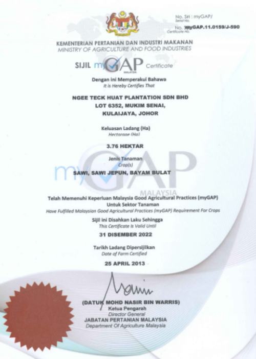 Ngee Teck Huat - Vegetable Supplier Johor Bahru (JB), Malaysia 我们的证书